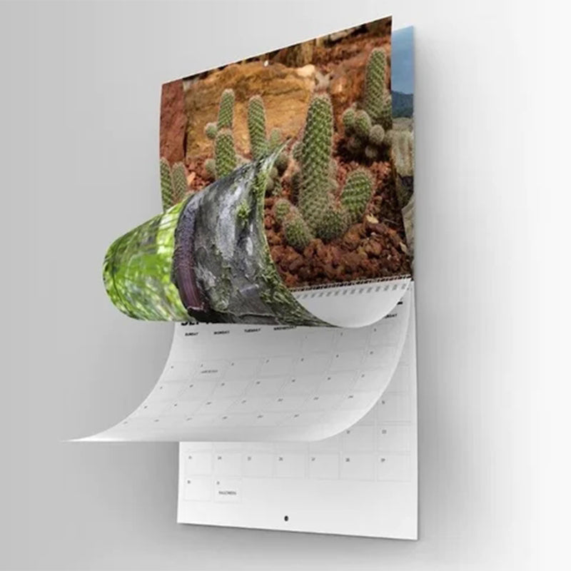 Sjov spøg og skæmt kalender 2023 – nyhavnbd